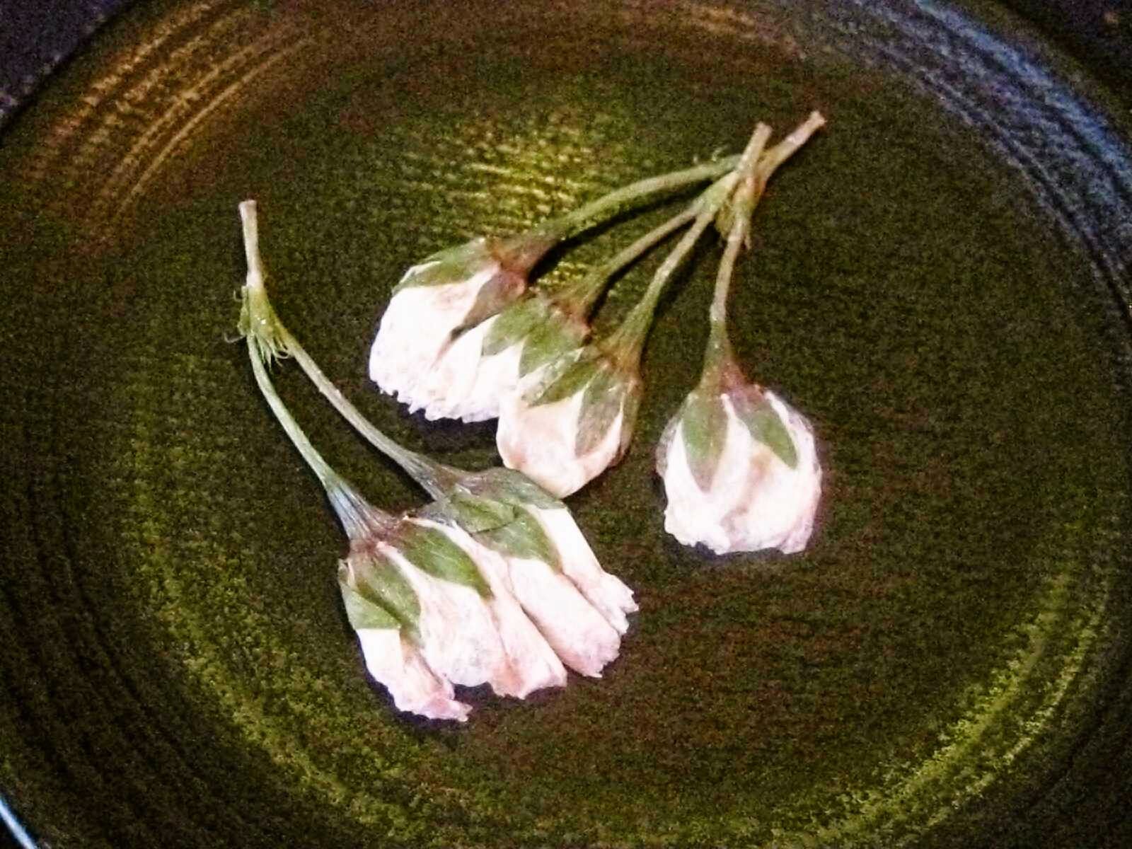 Recipes for Tom: Sakura no hana no shiozuke / salted cherry blossoms