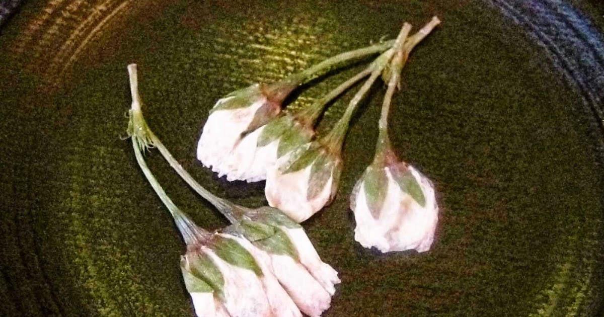 Recipes for Tom: Sakura no hana no shiozuke / salted cherry blossoms
