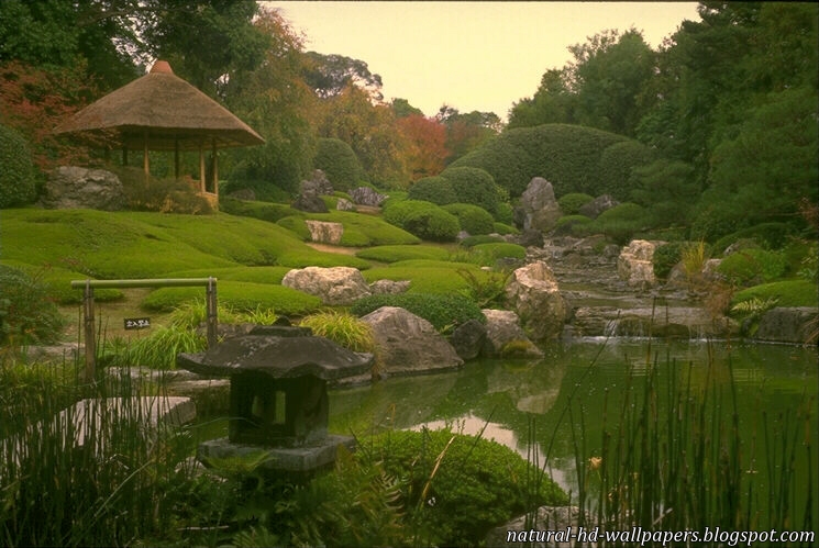 Greenery Wallpapers | Beauty of nature | Nature HD Wallpapers ...