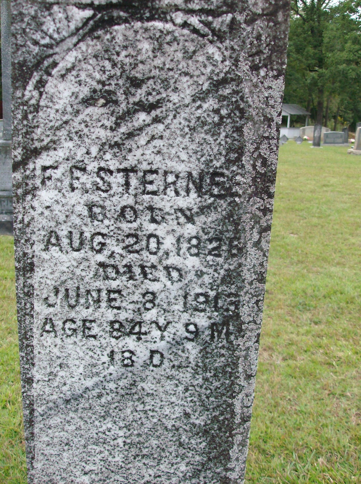 Job's Children: Frederick 5000: Part One of Frederick F Starnes