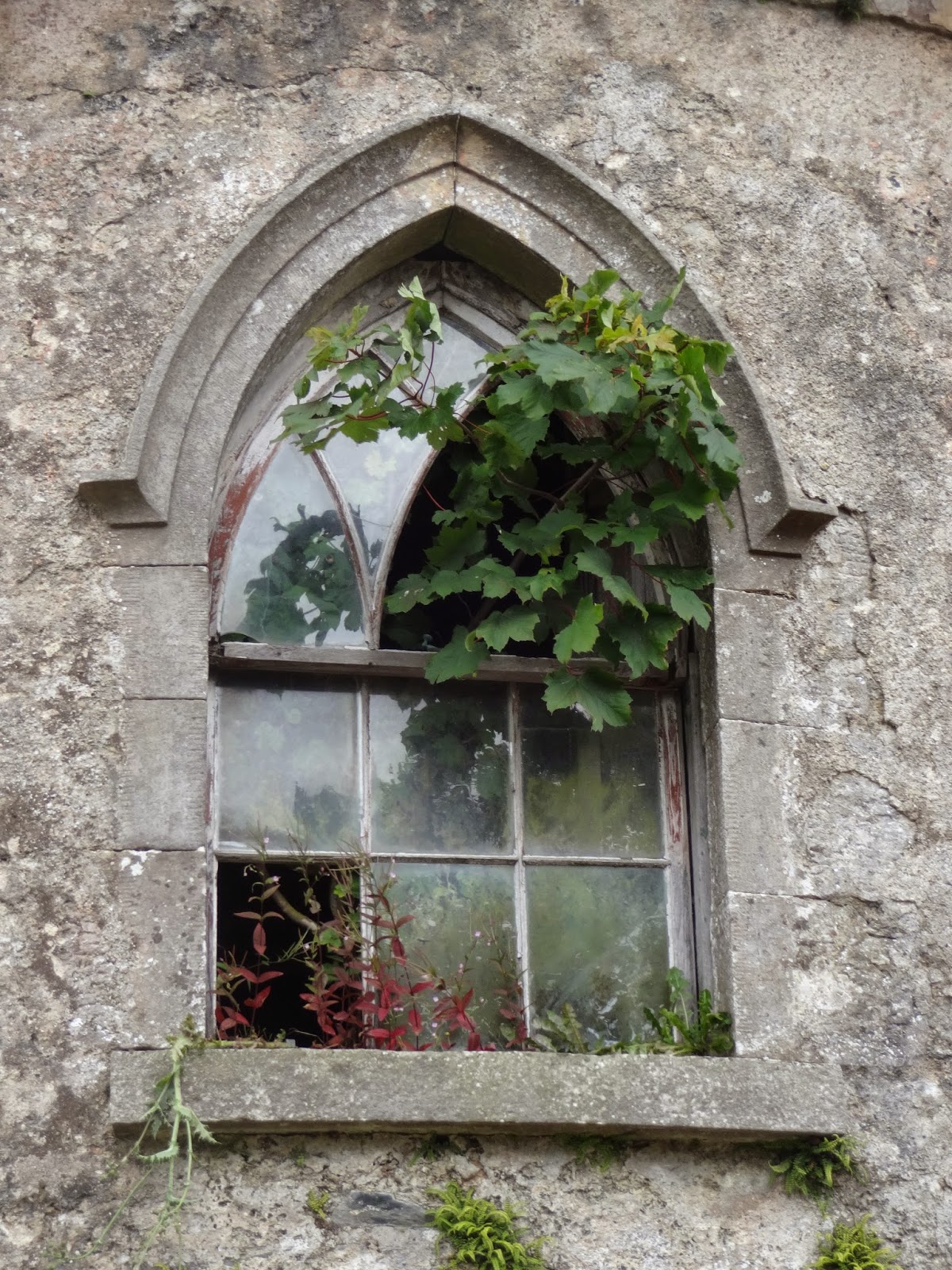 CUBO ET EXCUBO: Home Farm, Rosneath Castle