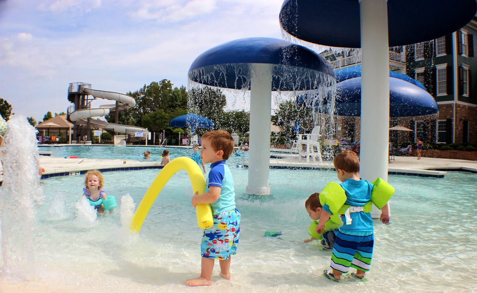 Snake & Snails, Sugar & Spice..The Galbraith Tales: BridgeMill Pool ...