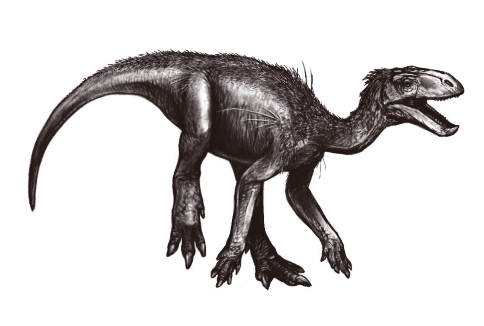 Waxing Paleontological: Hopeful Dinosaurs - Updated!