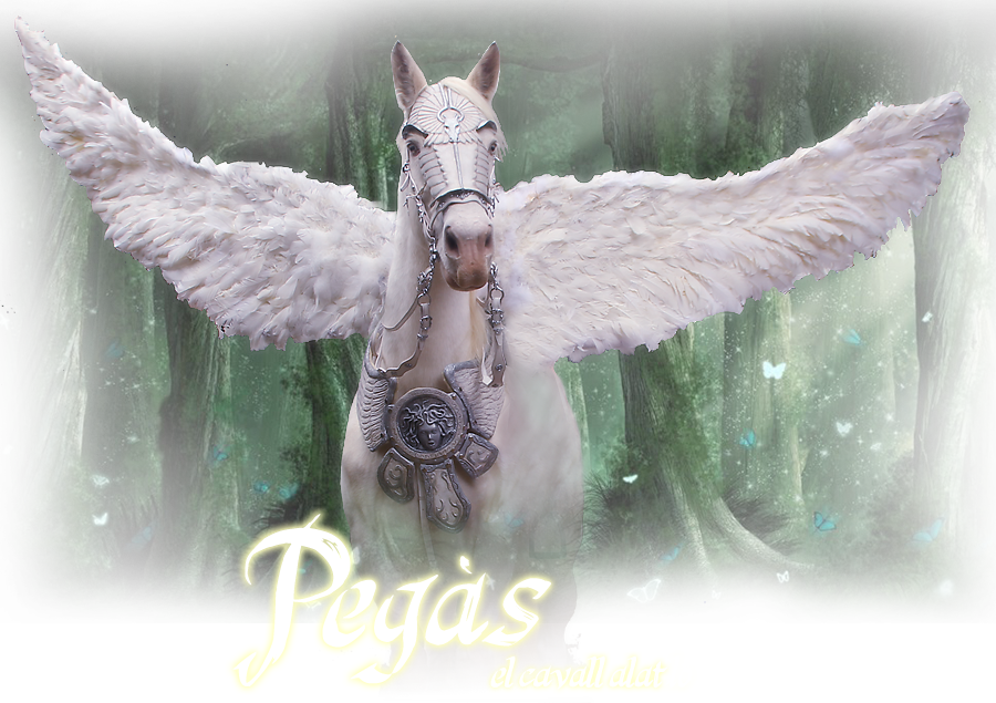 CLÀSSICS A LA ROMANA: PEGÀS