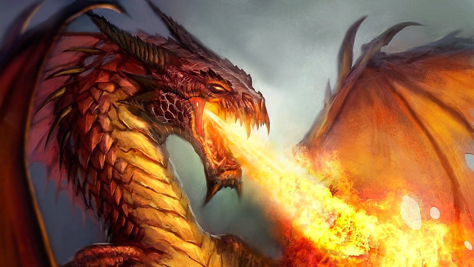 Fan Smoka: [Tapeciarnia I] Smoki ognia