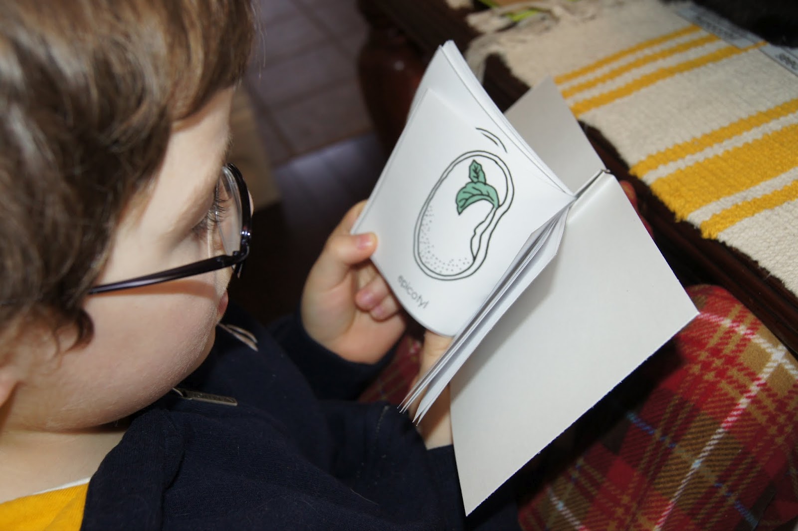 Botany 1 - Montessori Botany Puzzle Cabinet Work - "Making Montessori Ours"