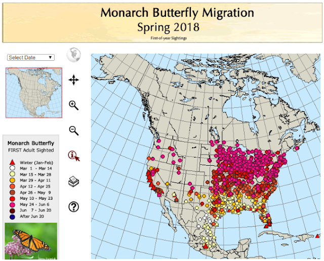 Prairie Pest Monitoring Network Blog: Monarch migration (Jun 07, 2018 ...