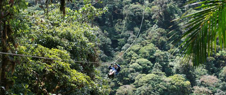 El mundo de Marta: Llegada a Monte Verde, tirolinas, puentes y nuevas ...