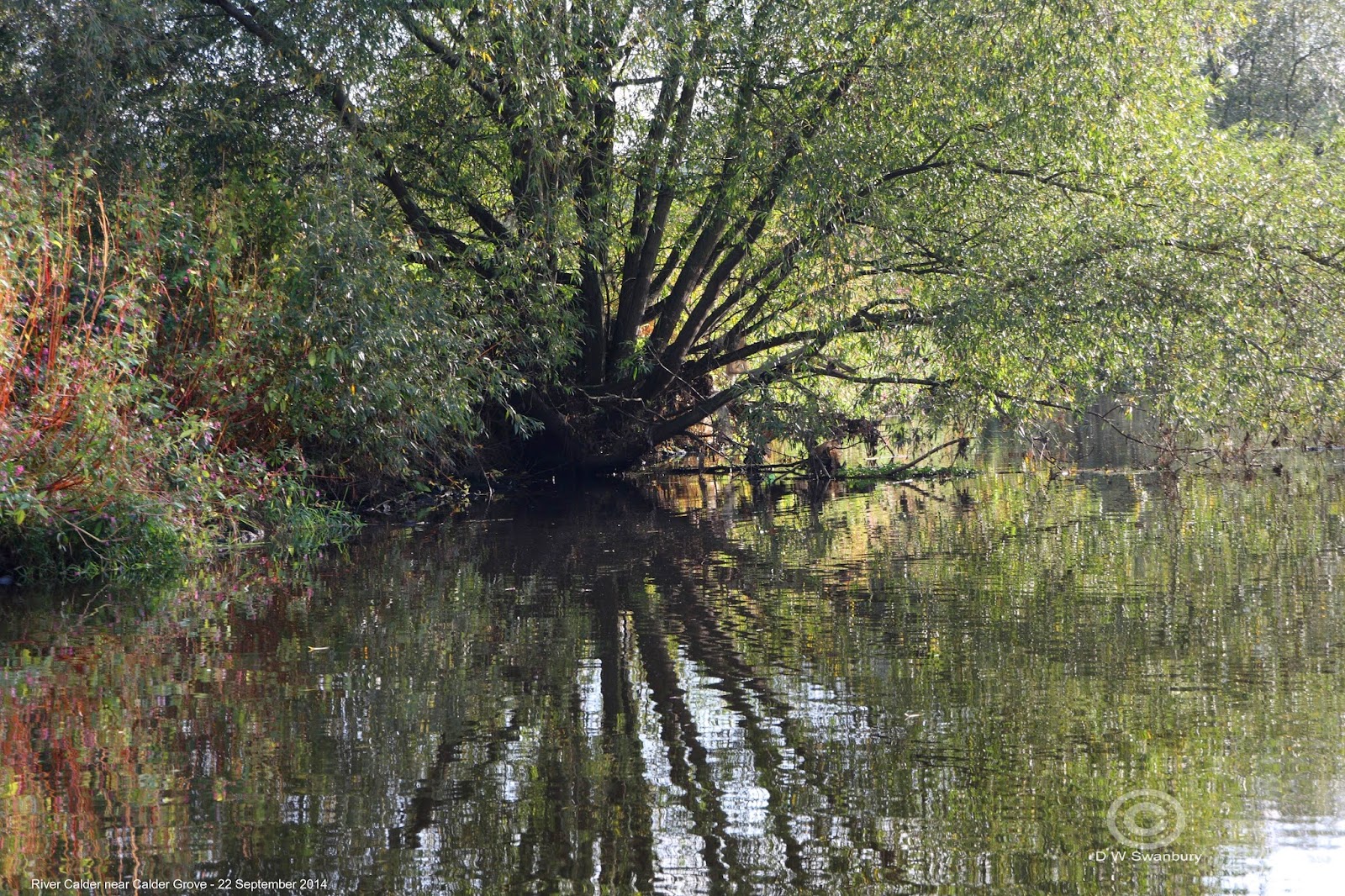 Colne Valley Beagles and other things of interest.: HOLIDAY SNAPS!