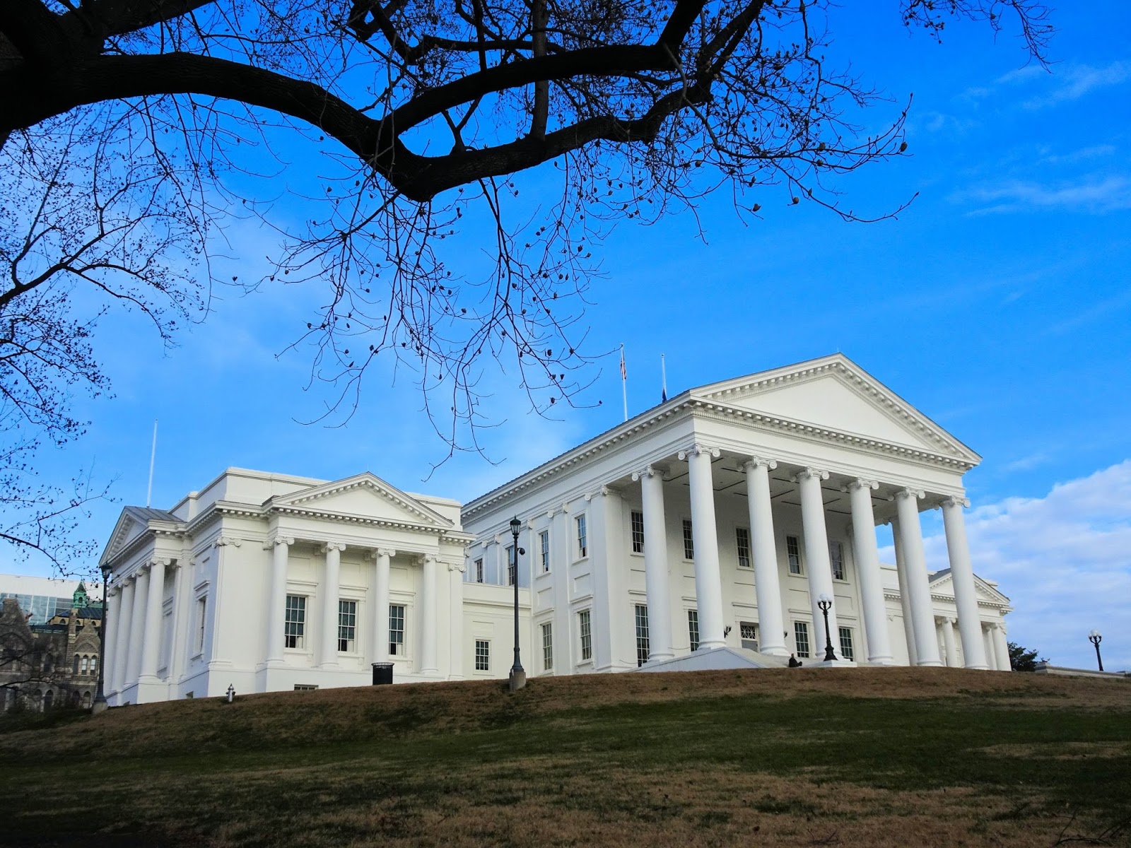Femme au foyer: Virginia's State Capitol