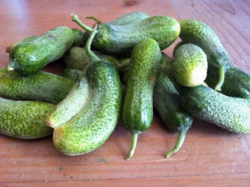 Behind the French Menu: Cornichons – Crisp, Crunchy, Vinegary, Slightly ...