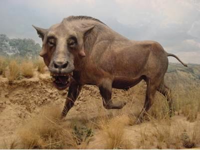 Tales of Palmerwood: Of Volunteer Work and Giant Pigs