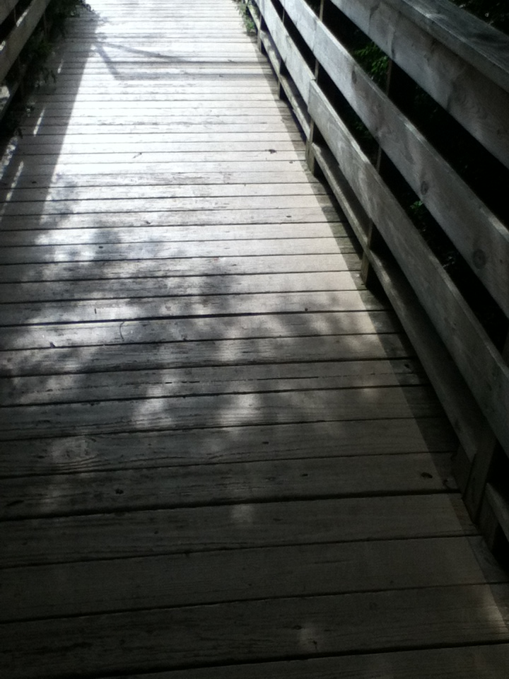 Photography Project: Analogous Colors Example