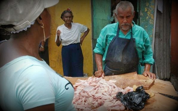 Precio por libra de pollo sobrepasa los RD$60 pesos – Imagenes Dominicanas