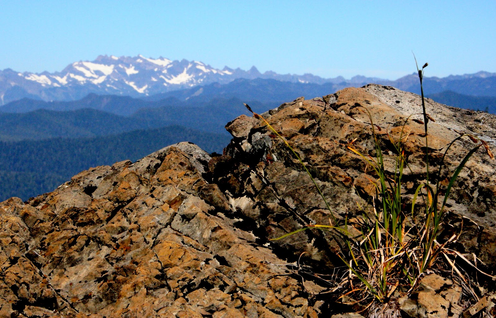 Olympic Peninsula Hikes, Guides and Updates: Colonel Bob Peak and Pete ...