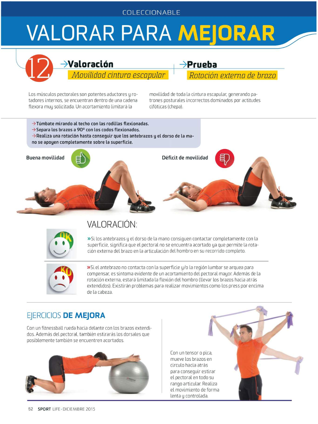 Rutinas de Ejercicio: Cintura Escapular-Movilidad Cintura Escapular
