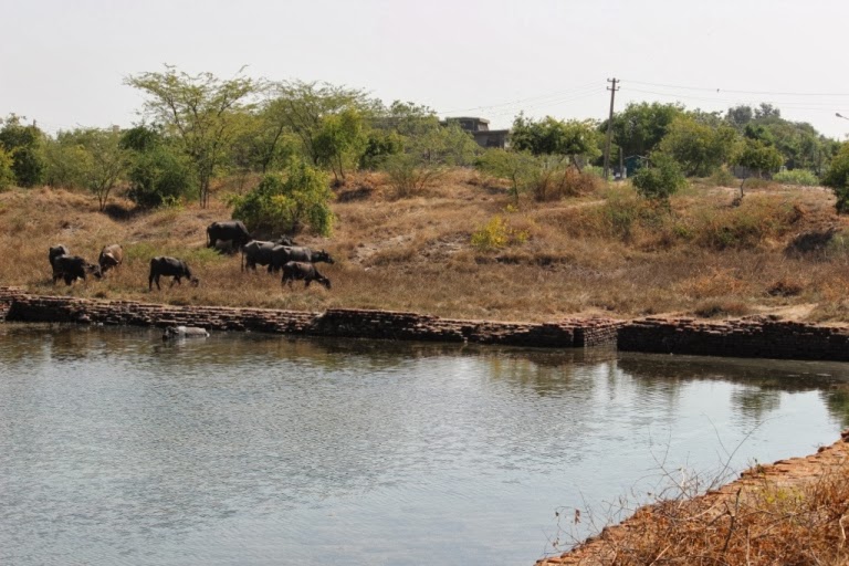 Lothal (Ahmedabad - Gujarat) | My Travelogue - Indian Travel Blogger ...