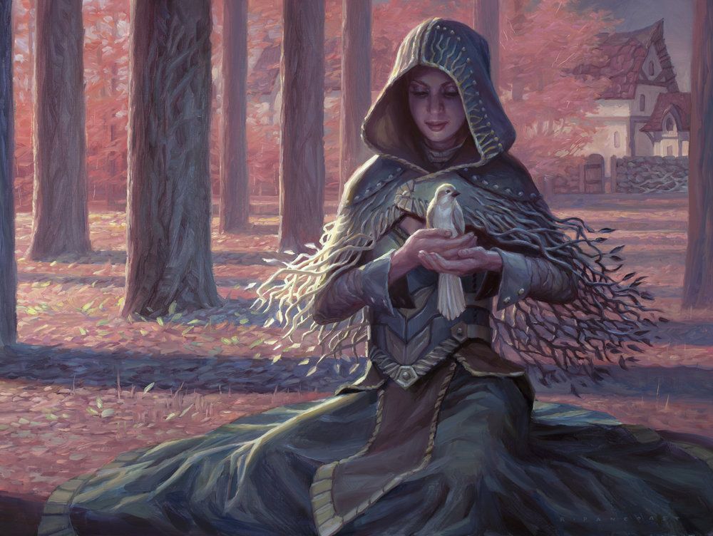 EVERLESS: ¡Una novela fantástica muy oscura! ~ El Aventurero de Papel