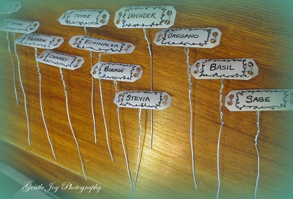 Gentle Joy Homemaker: Small Garden-Part 7-Plant Labels