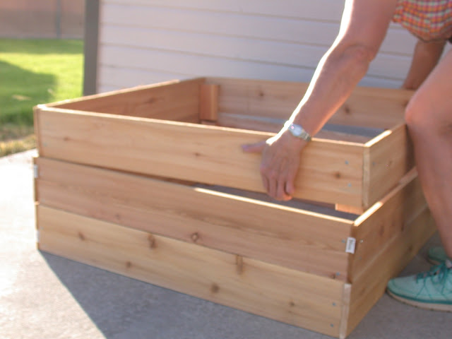 This Girl Gardens: Constructing Potato Boxes