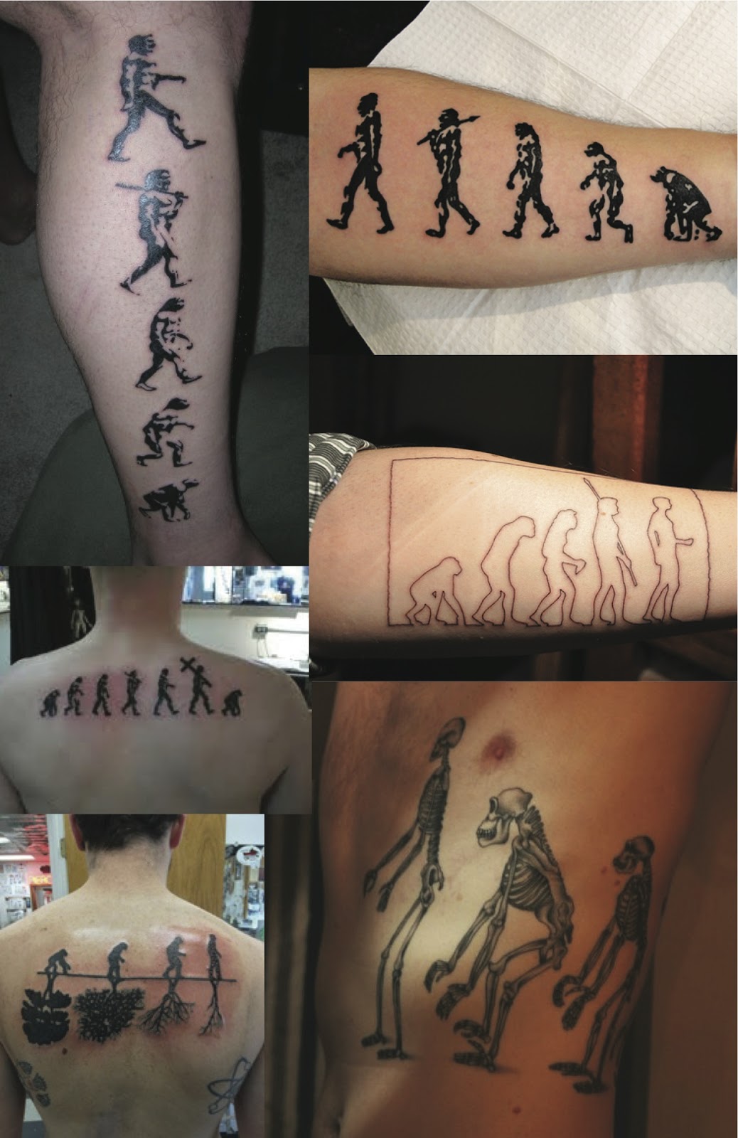 Evolution Symbols Tattoos
