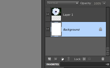 Grizz 'n' Dove: Photoshop Tutorial: DIY Color Cards