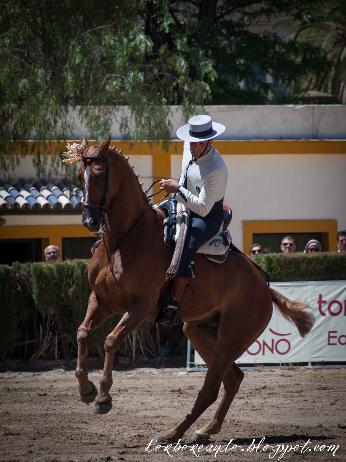 MI MIRADA DEL MUNDO: Victor Manuel Magriz Alcón con Picachu. CNVA Jerez ...