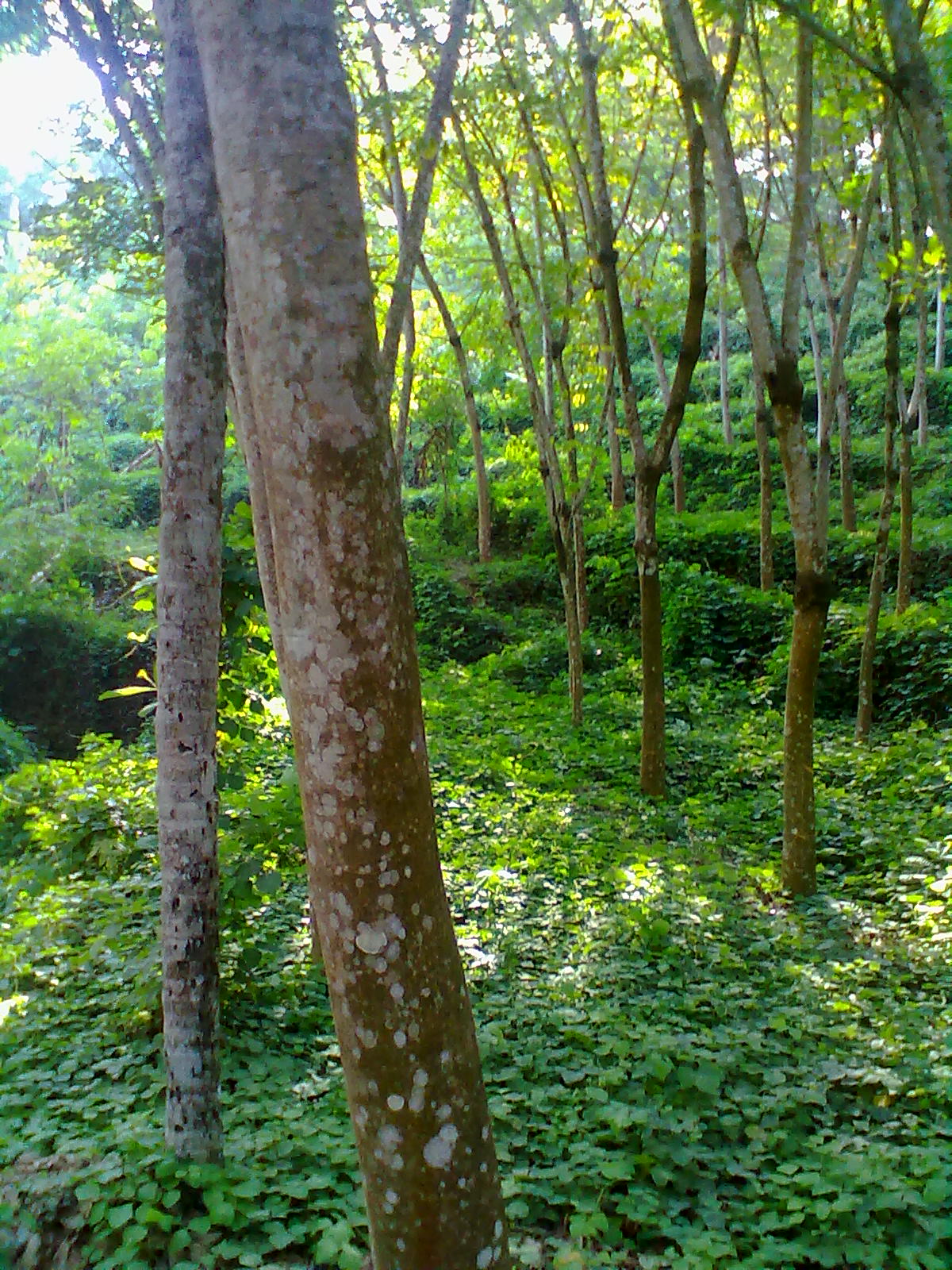 Clicks @ Photo: Nature