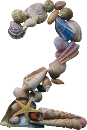 ForgetMeNot: Seashells Numbers