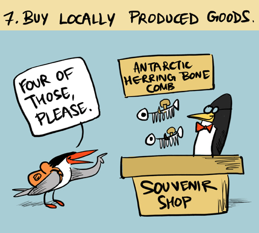 Green Humour: Sustainable Travel Tips from the Arctic Tern