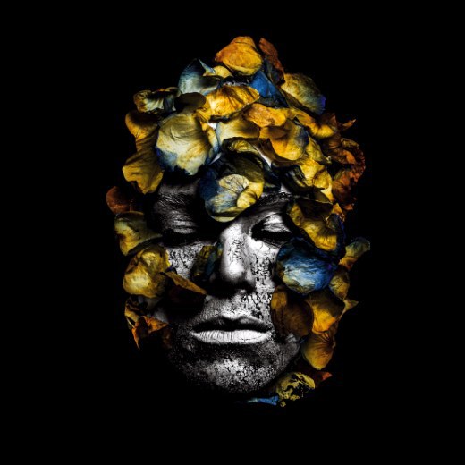 Wisdom Photography by Gabriel Wickbold | Design Arena