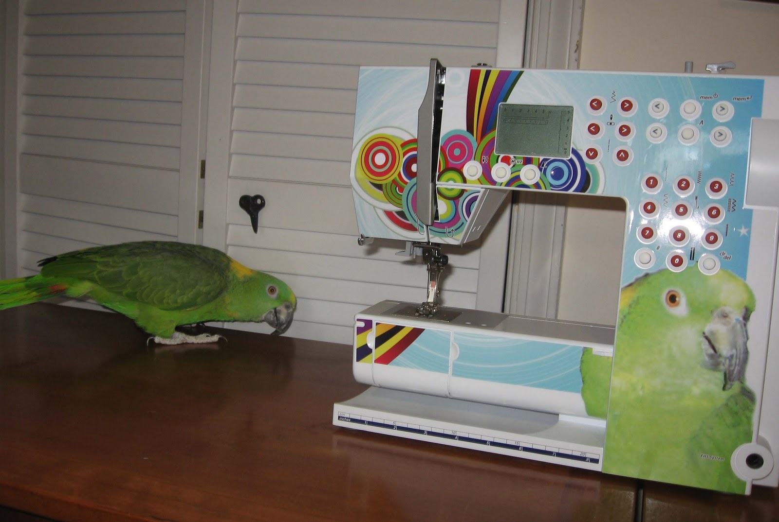 sewingtechie: Bernina Design Skin and the curious bird....