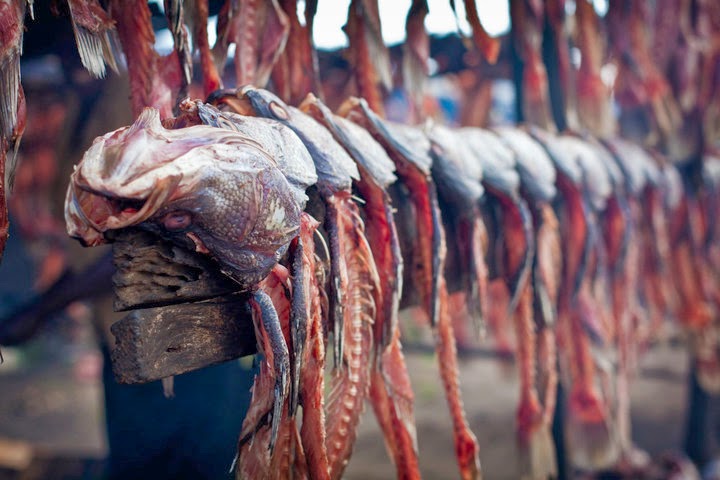 Team Ndoto: Life in Obunga