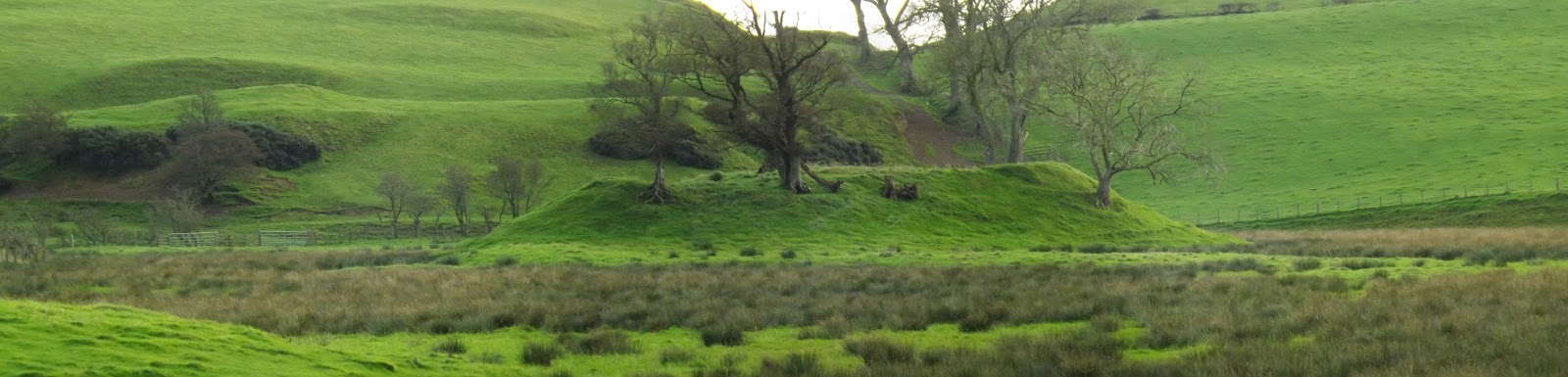 The castles, towers and fortified buildings of Cumbria: Palace Isle and ...