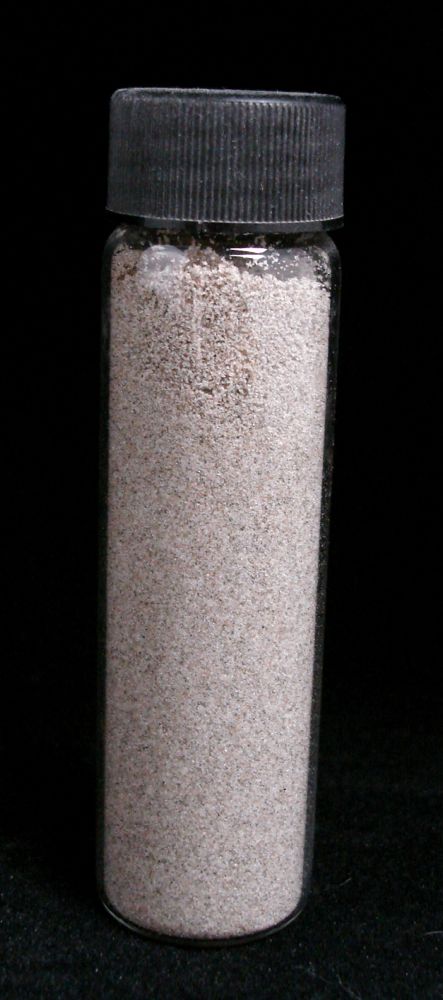 Dishy News - A Transferware Blog: NAHANT HOTEL (near) BOSTON