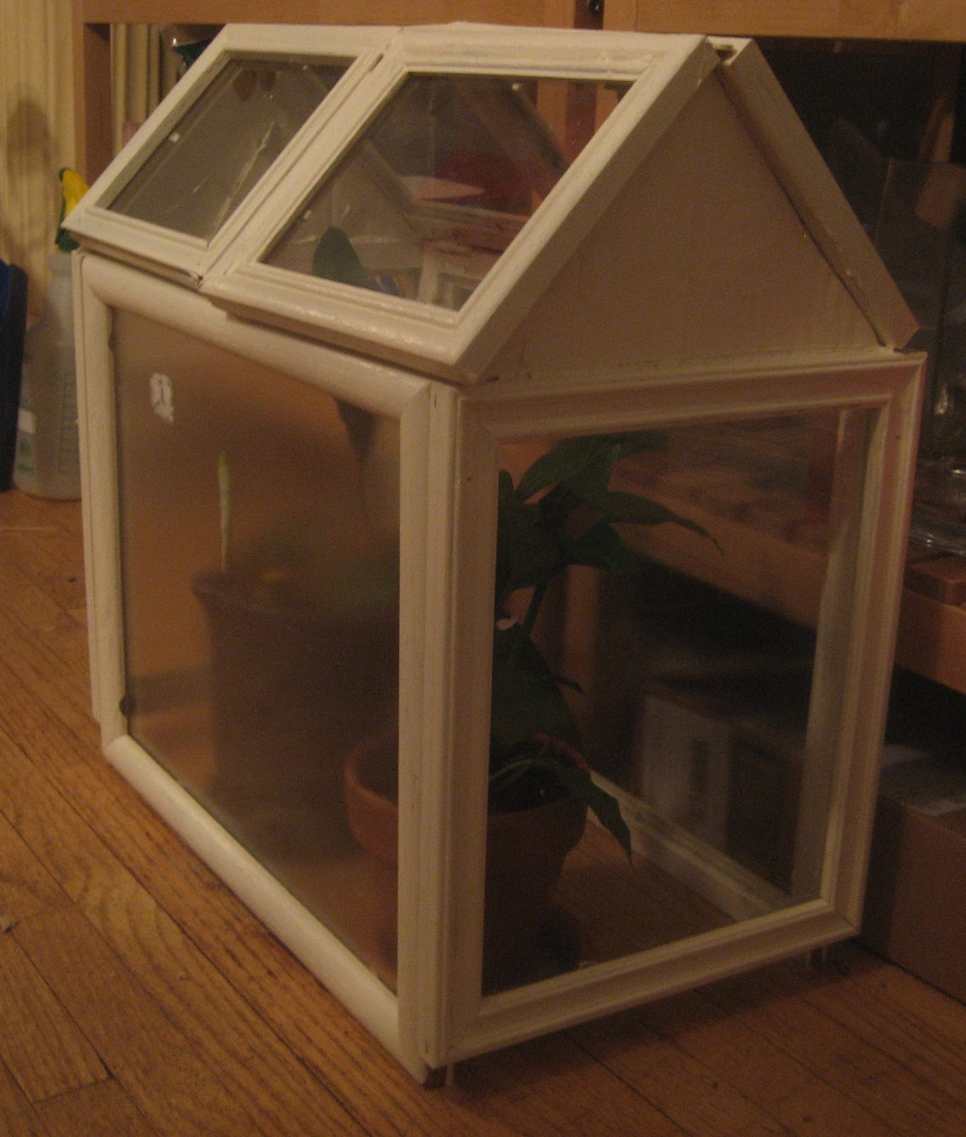 Chuck Does Art: DIY Picture Frame Terrarium