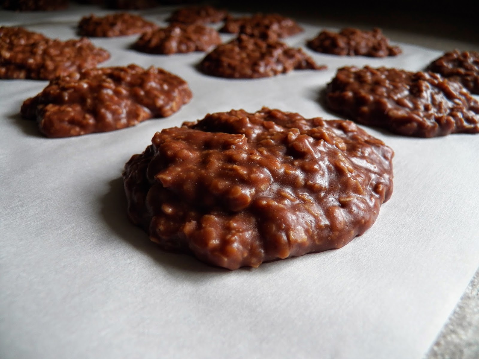 The Tasty Cheapskate: Fudgies--SRC