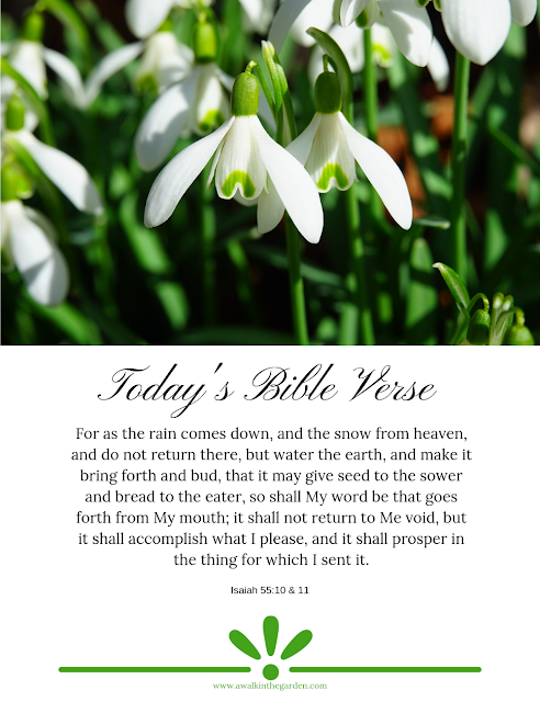 A Walk In The Garden: God's Word Shall Not Return to Him Void
