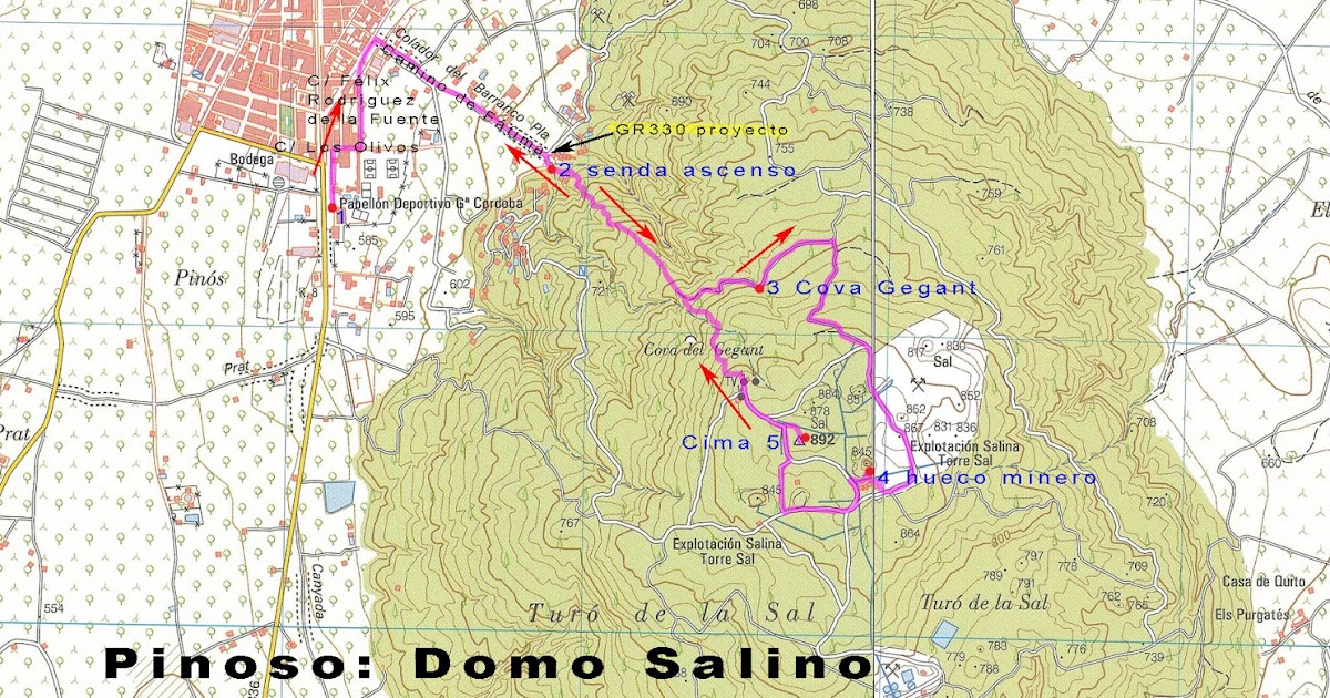 Barro y sal... Domo salino de Pinoso