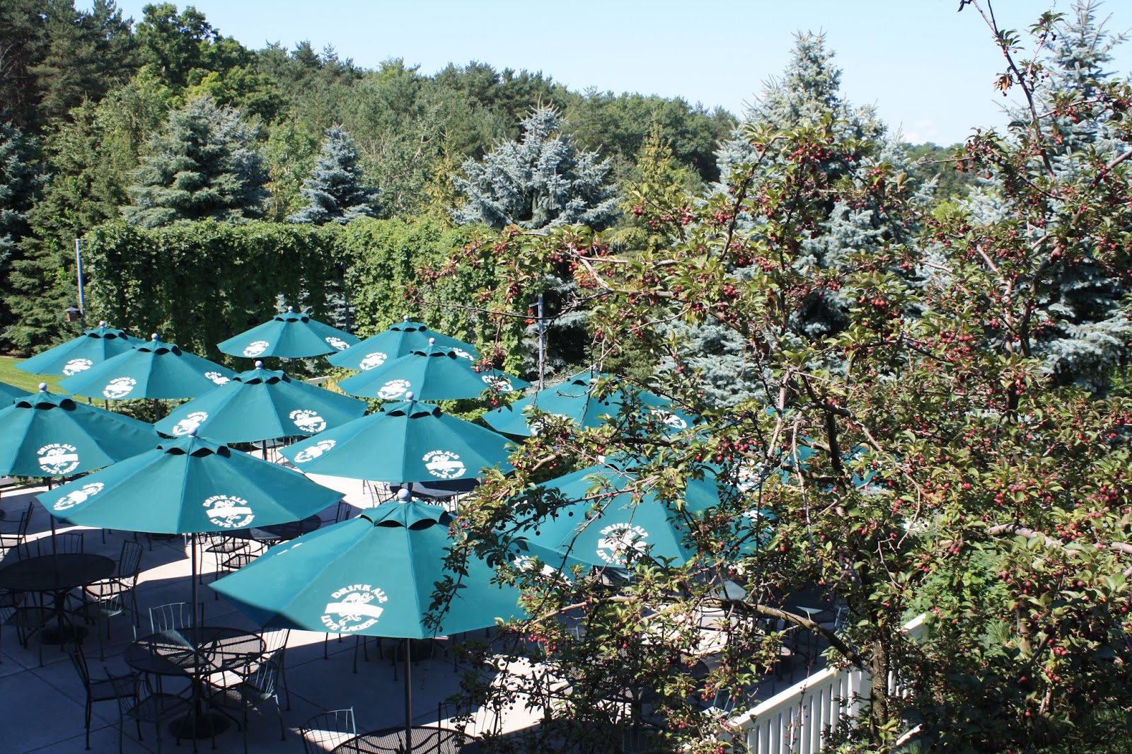 Delafield Brewhaus: The Delafield Brewhaus Bier Garden - a Lovely Place ...