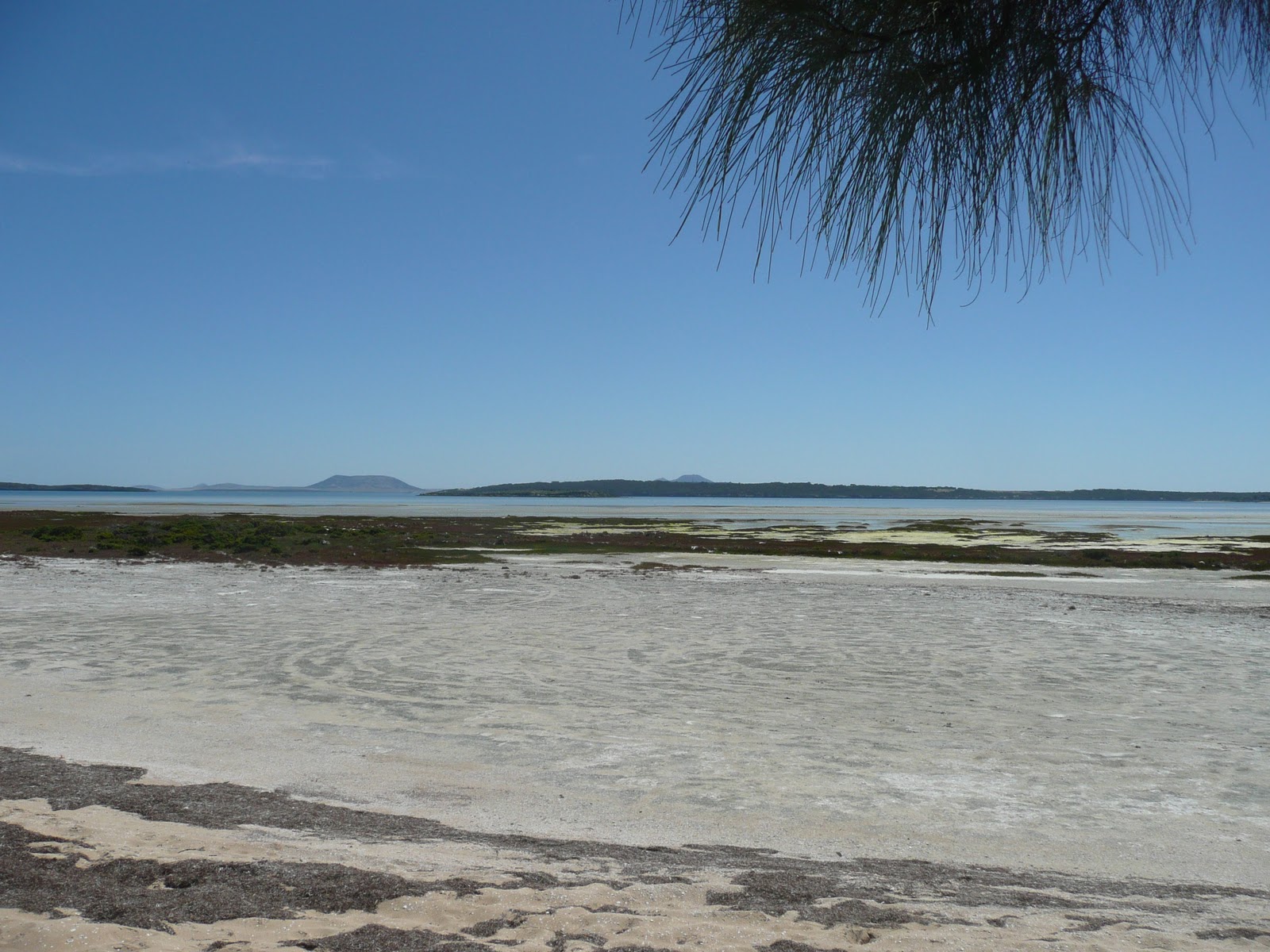 Nele & Andrew Around Oz: March 2011