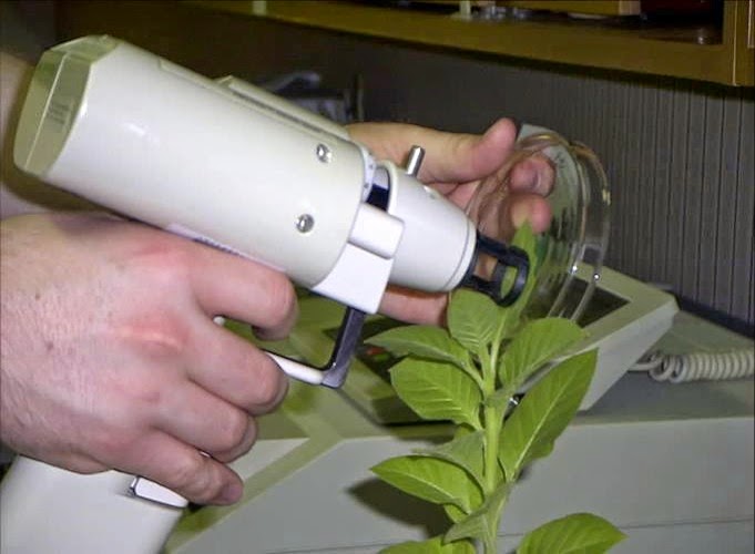 Biotecnología : Técnica 2. Pistola de genes