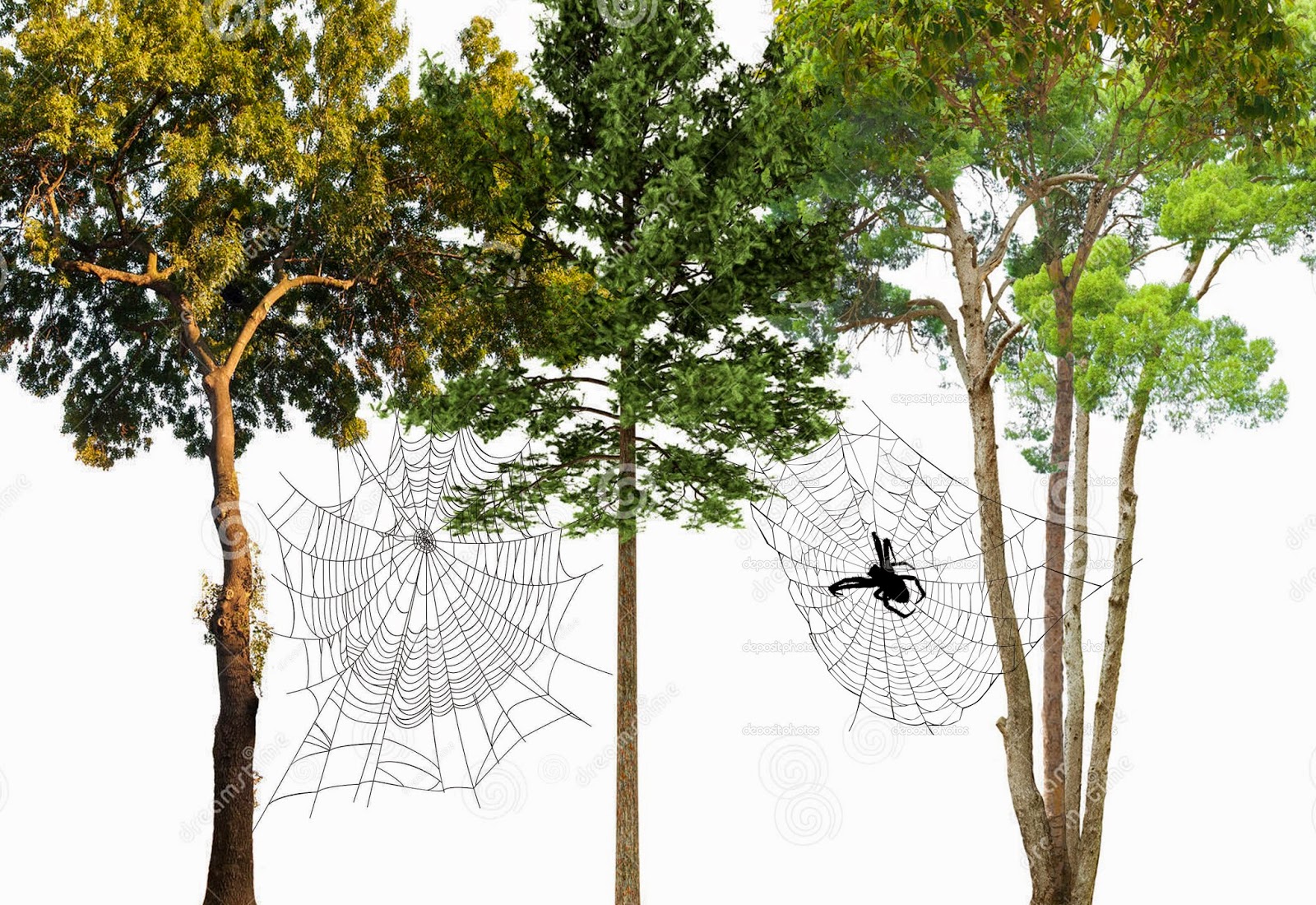 modular architecture: Modularity in spaces: learning from nature