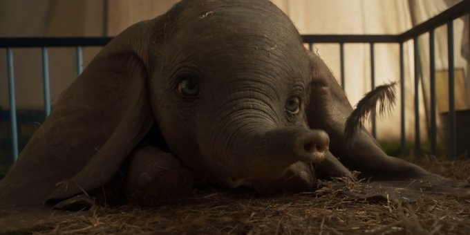 OSCAR 2019: Disney´s "Dumbo" (2019) Traíler Final