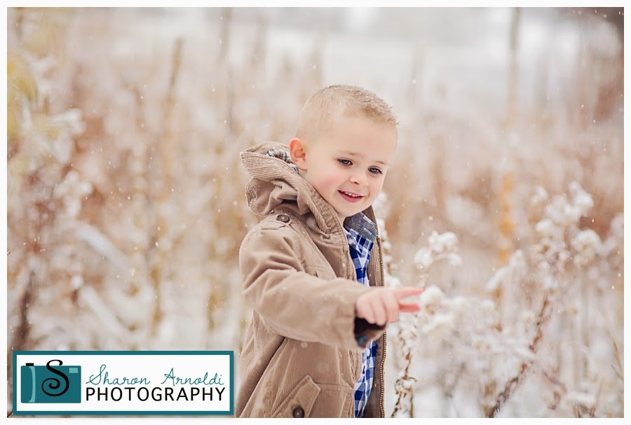 OLD BLOG, NEW BLOG HERE: http://www.sharonarnoldi.com/blog : Highlands ...