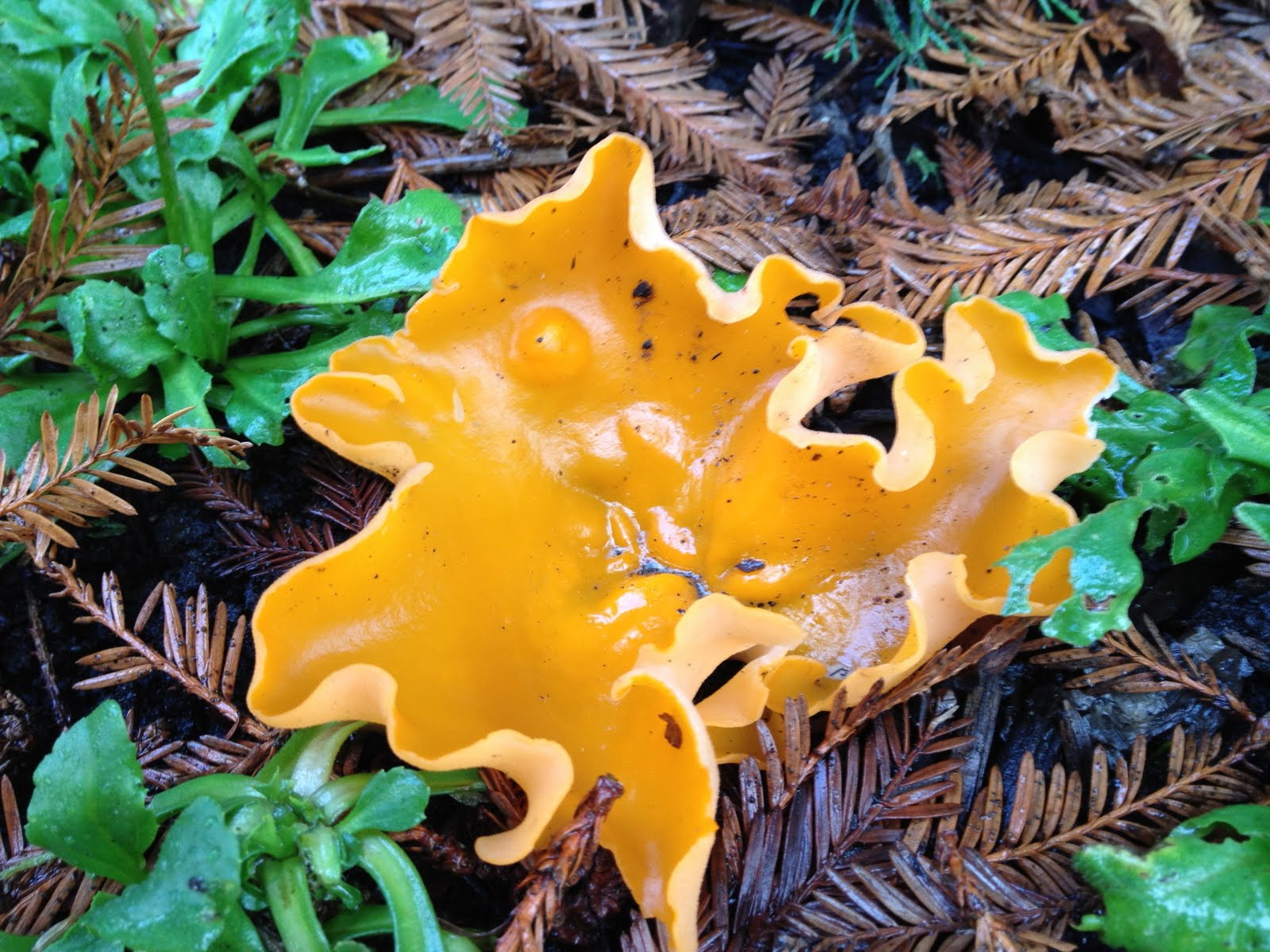 Growing Steady: Up Close & Personal