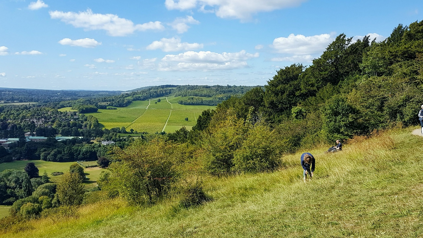 Box Hill 造訪鄉村揪團健行，造訪英格蘭最大的葡萄莊園