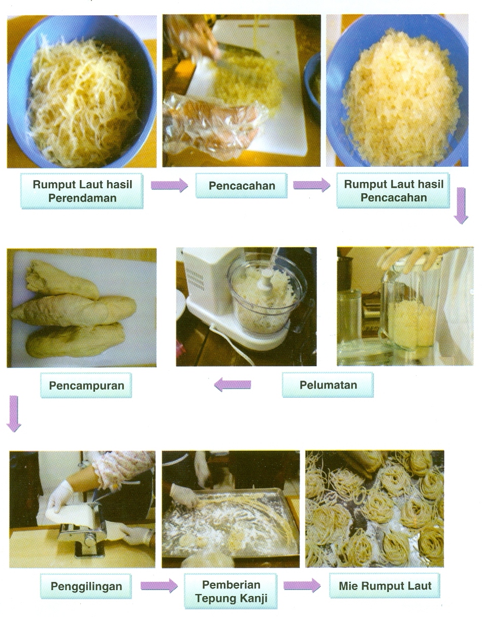 MEDIA PENYULUHAN PERIKANAN: INOVASI PENGOLAHAN RUMPUT LAUT (MIE RUMPUT ...