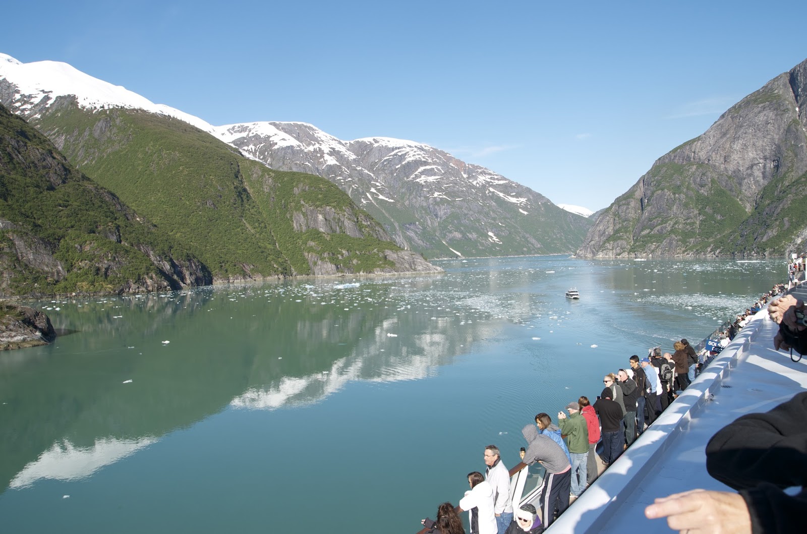 Tracy Arm Fjord near Juneau,Alaska