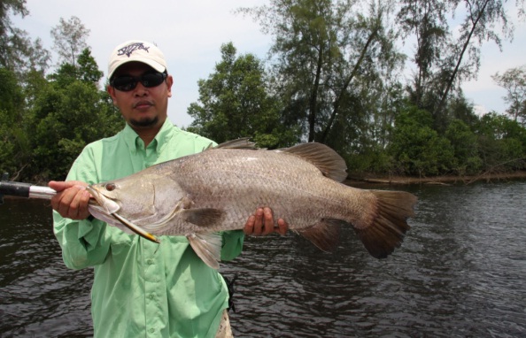 Teknik Memancing dan Jenis Umpan Ikan Siakap - Mancing Mania Mantab